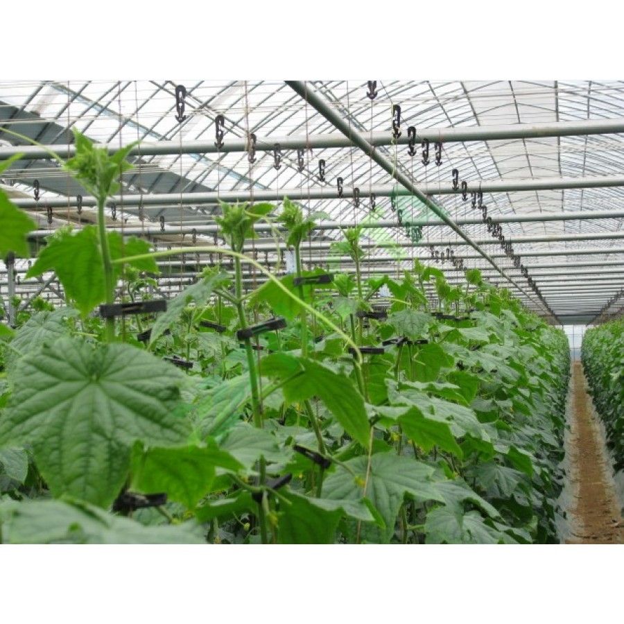 Hecta.ro. Clestisor din plastic pentru palisare legume pe arac sau ata ...